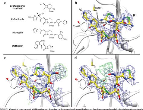 Figure 1 From Structural Insights Into The Anti Methicillin Resistant