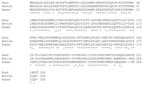 Multiple Sequence Alignment Of The Deduced Amino Acid Sequence Of Goat