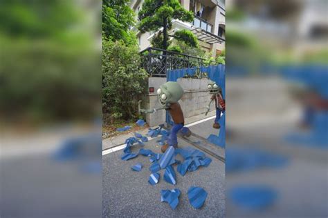如果植物大战僵尸来了用啥方式拦截好
