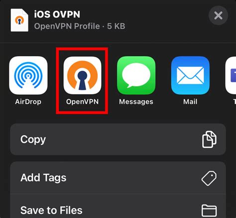 Setup OpenVPN Connect Client In IPhone IOS