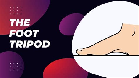 The Foot Tripod Somastruct