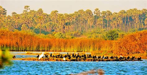 Sri Lanka S Hidden Gems Well Known Places