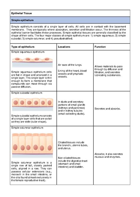 Module 10 Epithelial Tissue Summay Epithelial Tissue Simple