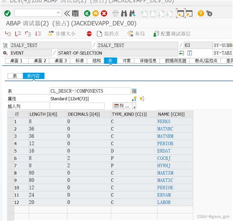 abap 反射 测试从内表获取相关字段的类型 abap 读取字段类型 csdn博客