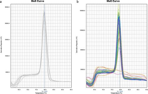 Melt Curve For A Five 10 Fold Dilution Of Standardpositive Control Tm