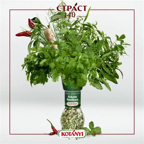Kotányi Bulgaria - Home