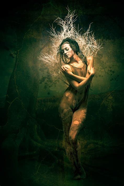 The Tree On Behance