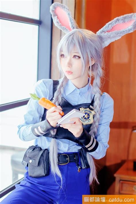 Coser P Catdu