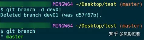 Github（六）本地仓库：分支的删除、分支合并出现冲突的解决、分支的使用流程 知乎