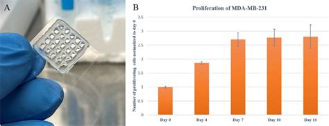 A Fabricated Cellhydrogel Structure Using 3d Bioprinting Technique