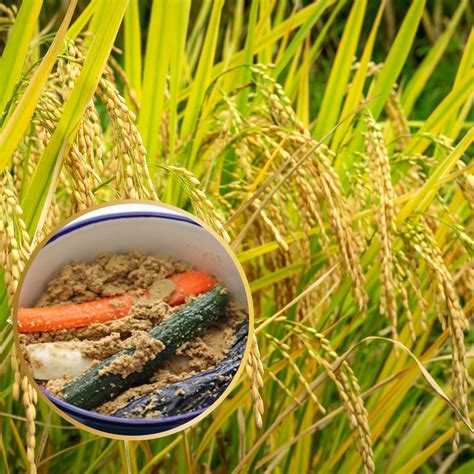 米ぬか ｜洗い屋本舗仙台泉店 コインランドリー 洗い屋本舗 仙台泉店