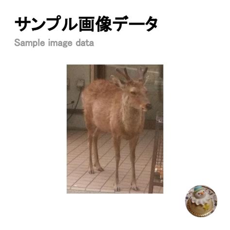 【keras Numpy】データ拡張 Data Augmentation における画像操作｜投資エンジニア