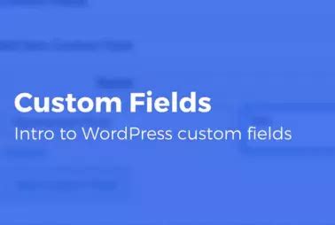 Wordpress为什么强大说说Custom fileds 自定义字段