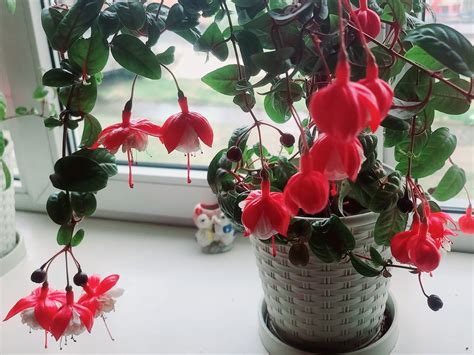 Unur On Twitter Өглөөний мэнд Эрхэмүүдээ Цонхны ганган Өдрийг сайхан өнгөрүүлээрэй