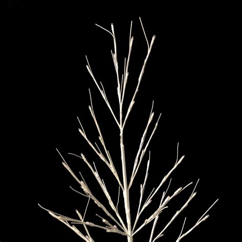 Buy New Indooroutdoor White Birch Twig Tree Light Led 1m Christmas