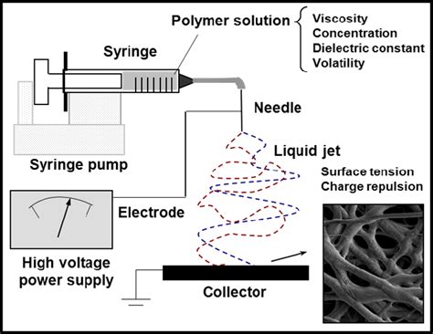 Schematic Diagram Showing The Electrospinning Process Download