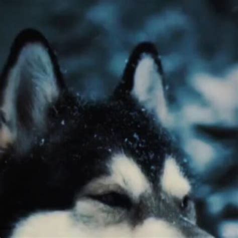 Muqaddas Fatima National University Of Computer And Emerging Sciences