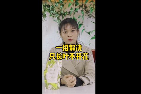 为什么你的植物只长叶不开花这里教你一招解决问题 凤凰网视频 凤凰网