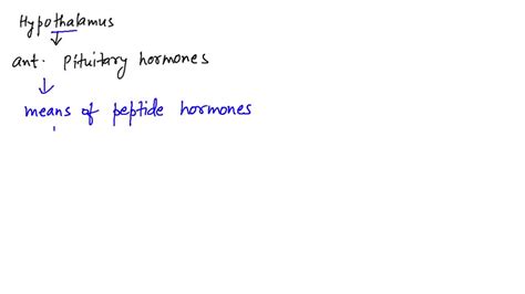 Where Is Acth Produced What Does It Do Explain How Its Secretion Is
