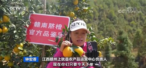 线上线下齐发力 赣南脐橙销售“两头旺”新闻频道央视网