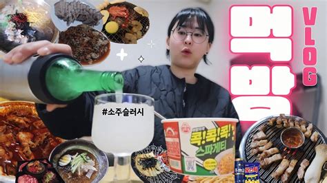 술먹방 Vlog 하루 벌어 한 끼에 탕진하는 인생이란💸 아무튼 음주 먹방 브이로그 🍗🍺 엽기닭볶음탕야키니쿠삼겹살냉면햄버거굴칼국수굴무침수육