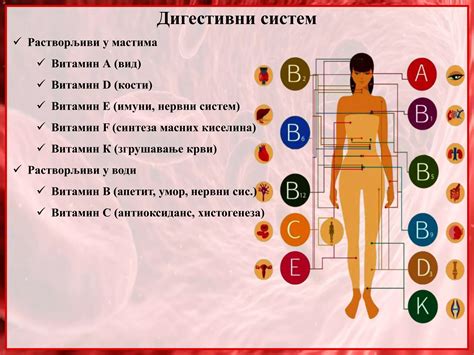 30 Sistem Organa Za Varenje Anatomija I Fiziologija Pptx