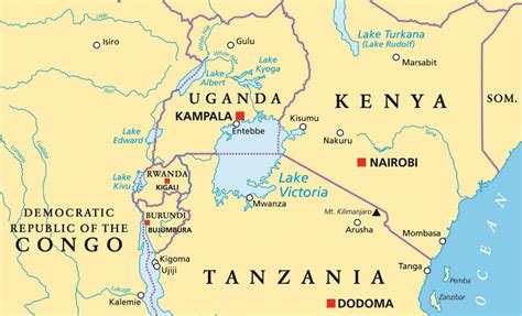 Lake Victoria Restoration