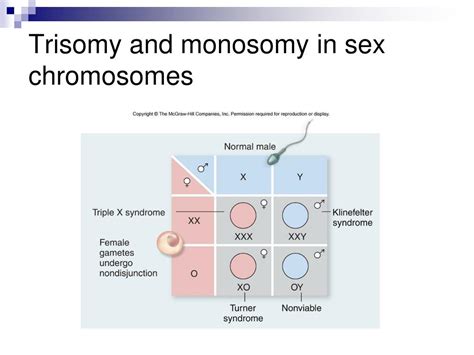 Ppt Chromosomes And Human Genetics Powerpoint Presentation Free
