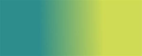 Applications Methanol Reformer