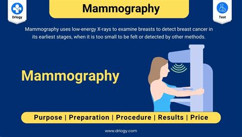 Mammography Mammogram For Breast Cancer Procedure And Result Drlogy