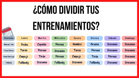 Planificación Efectiva De Entrenamiento De Fuerza Para Mujeres Estrategias Para Dividir Grupos
