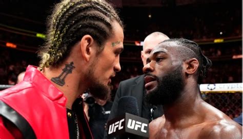 Aljamain Sterling Reveals Sean O Malley Fight Will Be His Last At