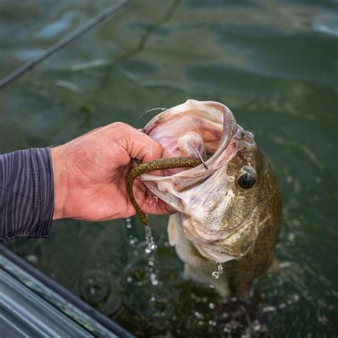 Berkley Fishing Review Must Read This Before Buying