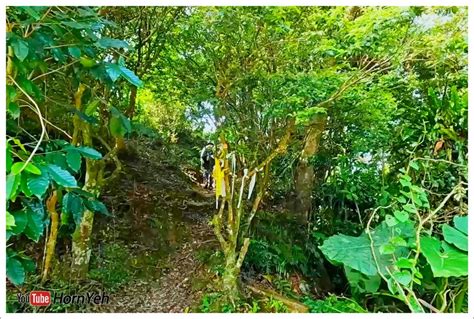 鱷魚島步道~最佳觀景點在這裡 順登小格頭獅頭山 健行筆記
