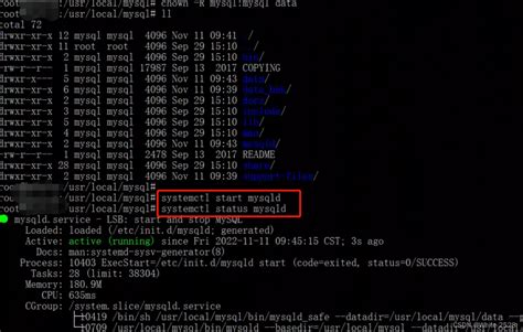 mysql5 7运行报错the server quit without updating pid file var run mysqld