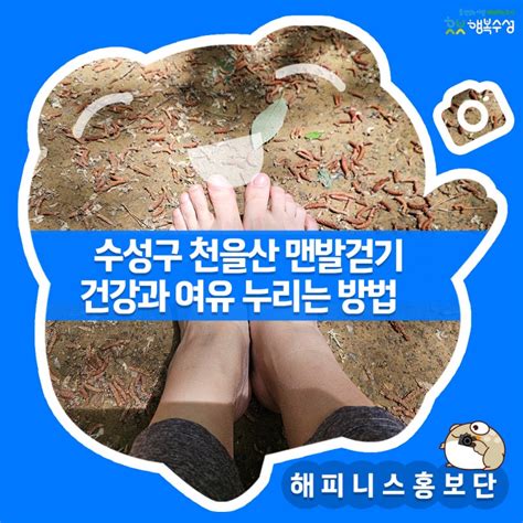수성구 맨발걷기 명소 천을산 맨발걷기 대구광역시 수성구 웰로