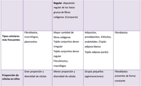 Cuadro Comparativo Semejanzas Diferencias Pais