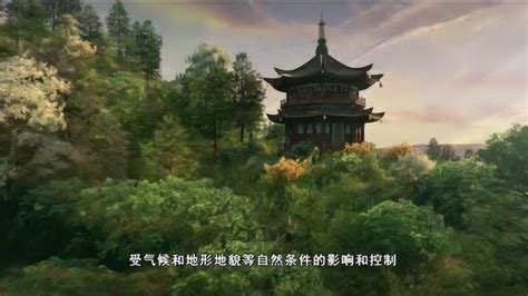中国当归之乡甘肃岷县腾讯视频