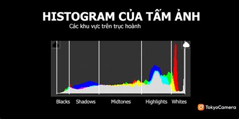 Cách Nhận Xét Biểu đồ Histogram Hiệu Quả Trong Phân Tích Dữ Liệu