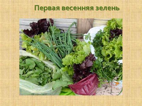 Весна с НПО АРГО-ЭМ 1 Эффективные микроорганизмы