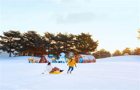 소노인터내셔널 ‘국내 최대 스노우 테마파크‘ 스노위랜드 개장