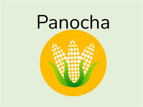 Panocha Qué Es Y Su Significado En Latinoamérica Y En España