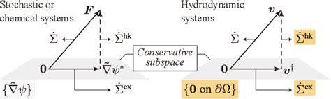 Figure 1 From Geometric Housekeeping Excess Decomposition For Hydrodynamic Systems Semantic