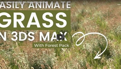 How To Animate Grass In 3dsmax With Forest Pack Cgtricks