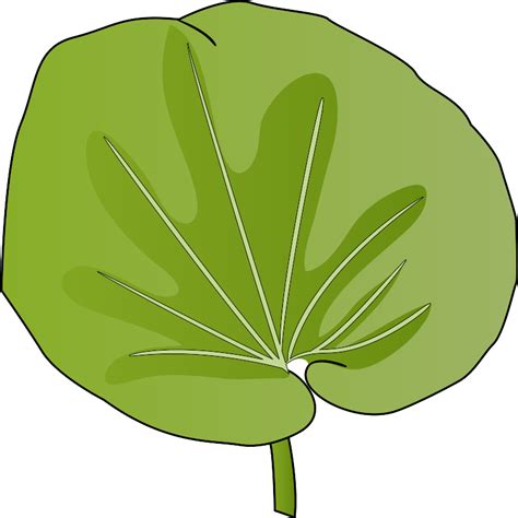 Round Leaf Figure Science Figures