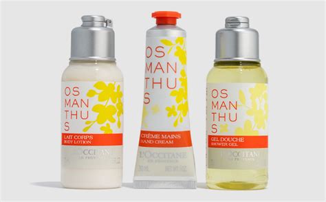 Loccitane 3 Piece Bath And Body Set 25 Free Stuff Finder