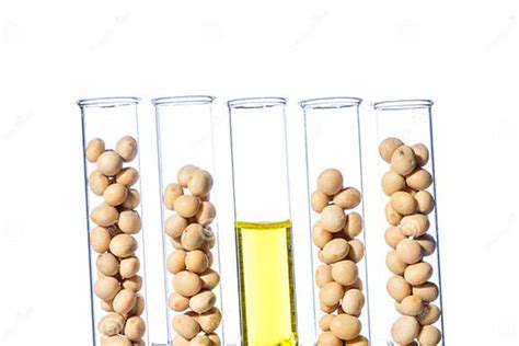 Soybean Genetically Modified Plant Cell Stock Image Image Of Genetic Equipment 57123013