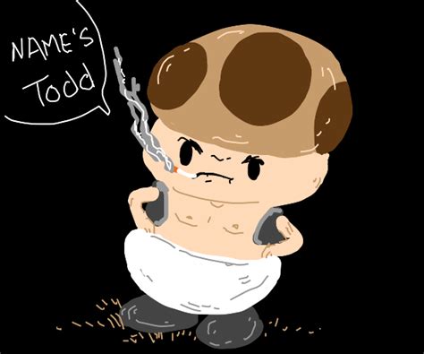 Todd From Mario Drawception