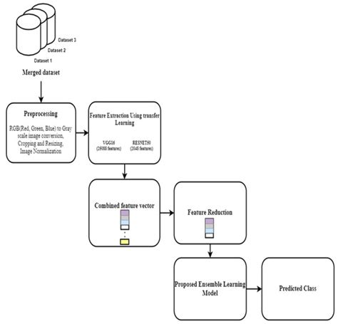 Precision Based Weighted Blending Distributed Ensemble Model For Emotion Classification