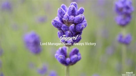 Jayavel 3d Name Wallpaper For Mobile Write जयावेल Name On Photo Online